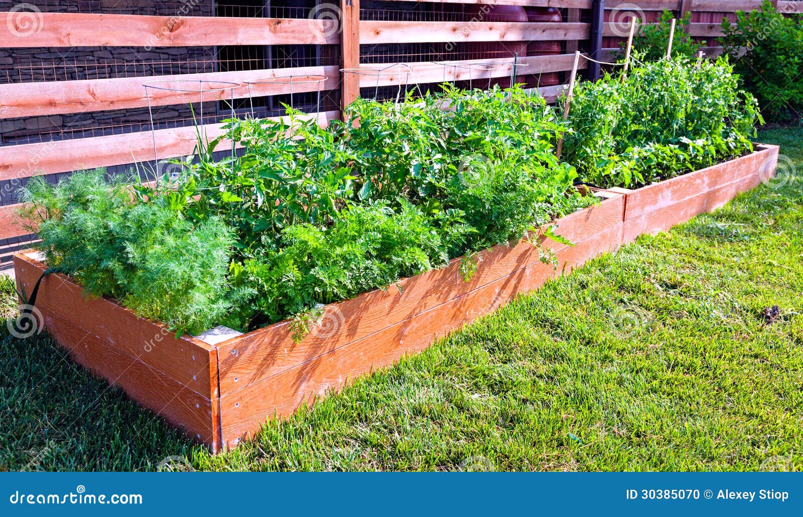 Moestuin stock foto. Image of dille, lente, huis, organisch - 30385070