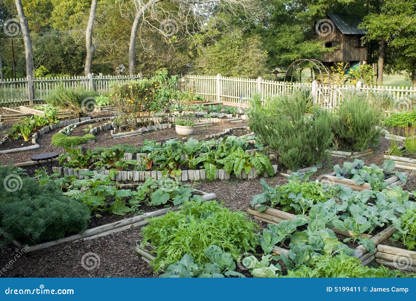 Moestuin stock afbeelding. Image of antiquiteit, vers - 5199411