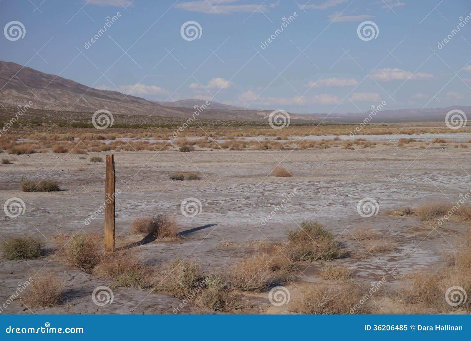 Mohave desert stock image. Image of heat, post, geologic - 36206485