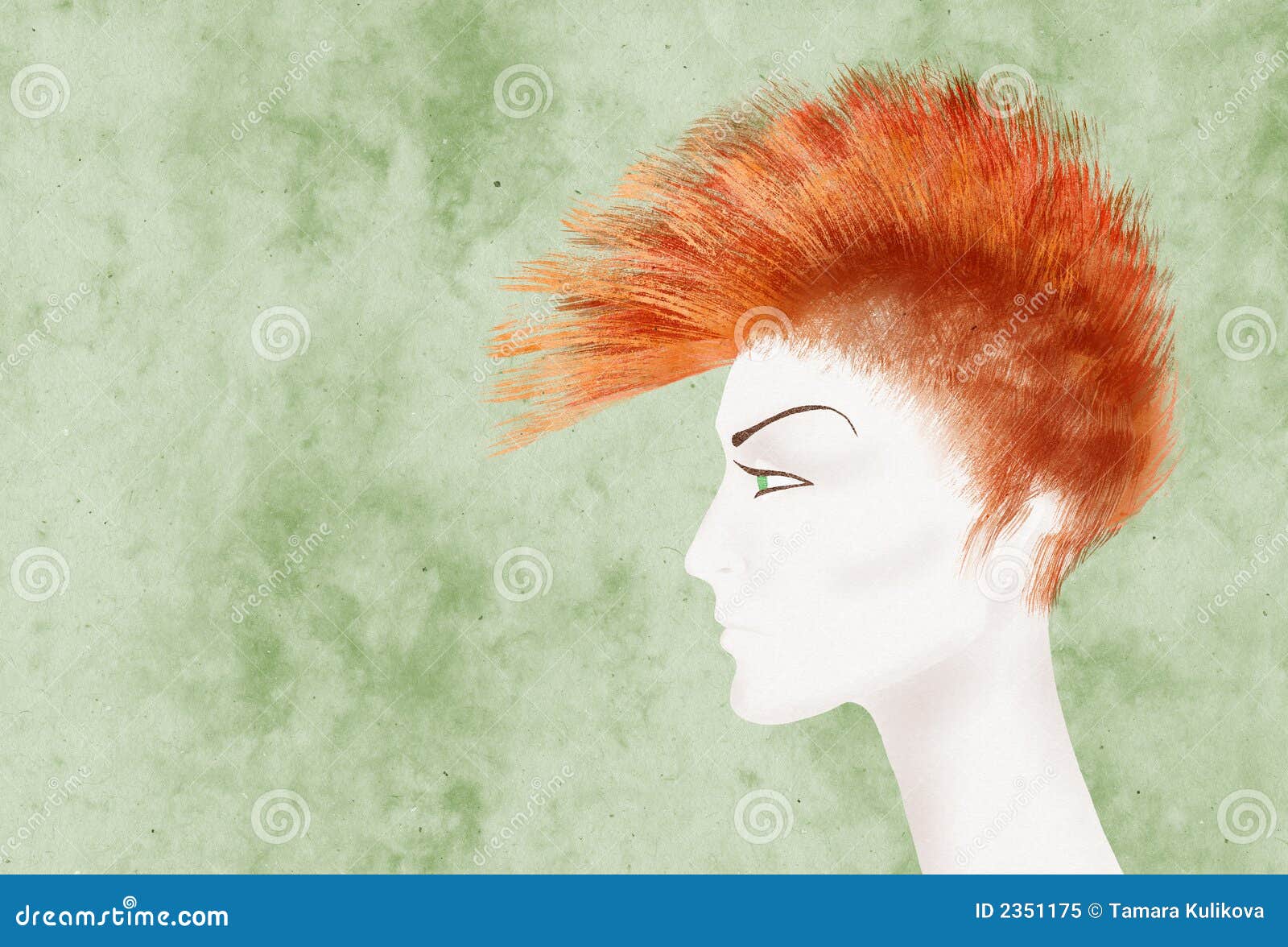 Mohawk hair stock illustration. Illustration of beautiful - 2351175
