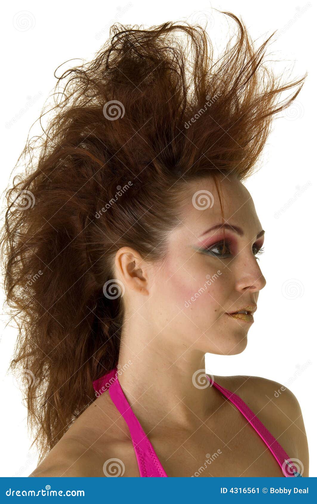 Mohawk Profile stock image. Image of pose, beauty, hair - 4316561