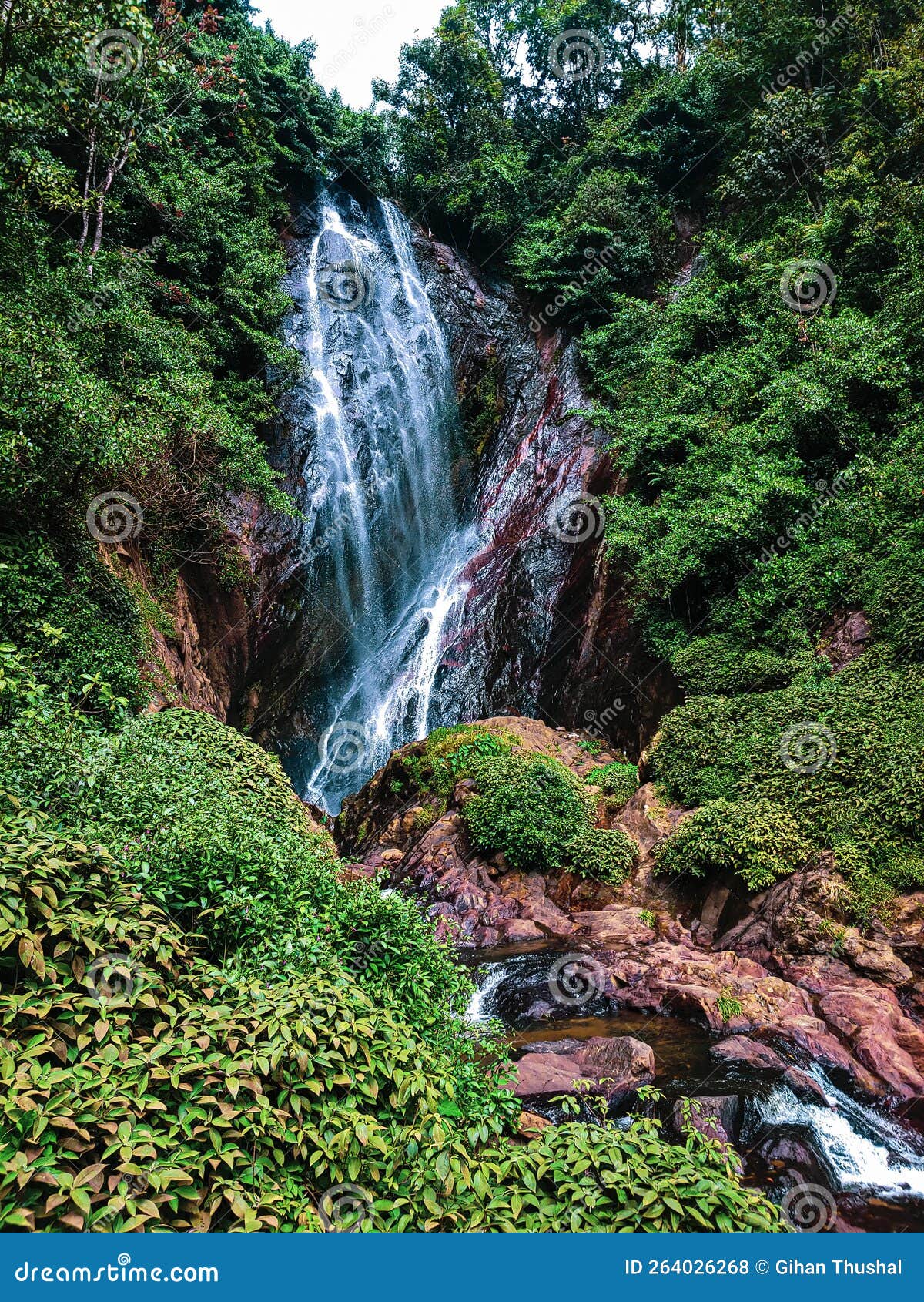 Mohini Ella Waterfall in Sri Lanka Stock Photo - Image of woodland ...