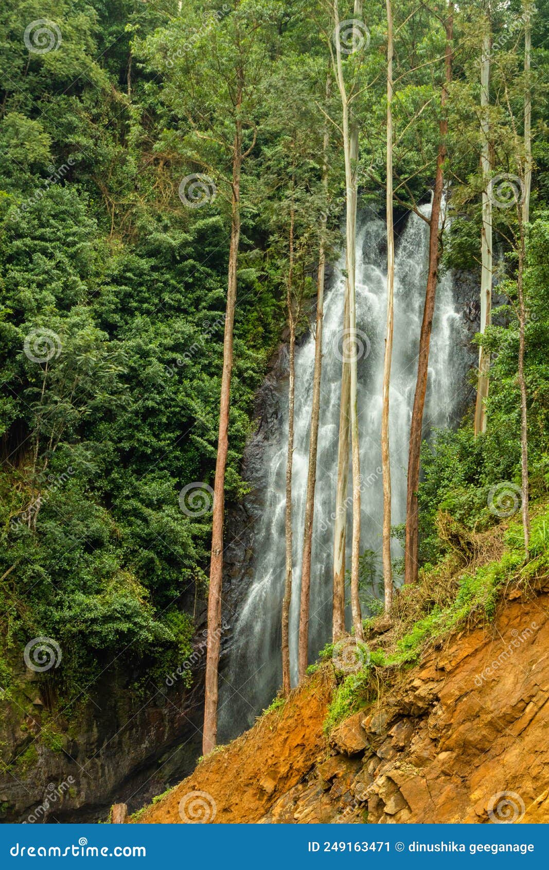 Mohini waterfall sri lanka imagem de stock. Imagem de cachoeira - 249163471