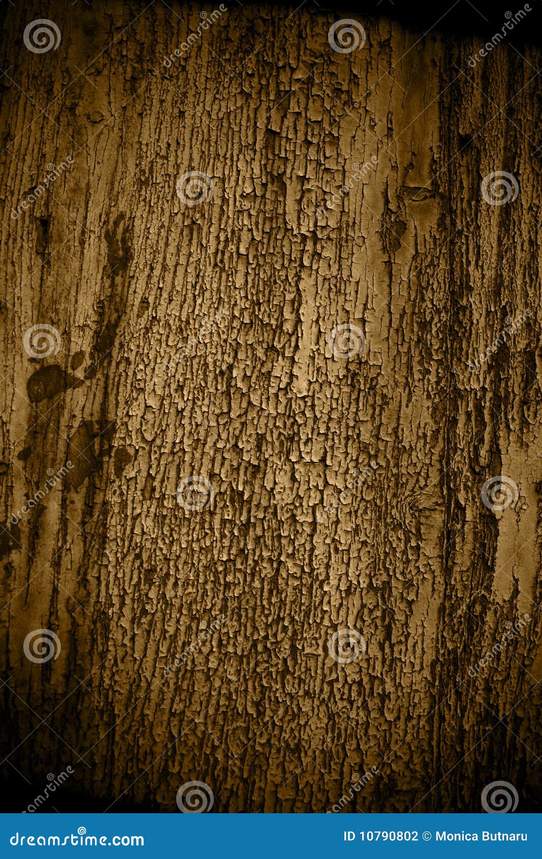 Moho foto de archivo. Imagen de tapa, moho, material - 10790802