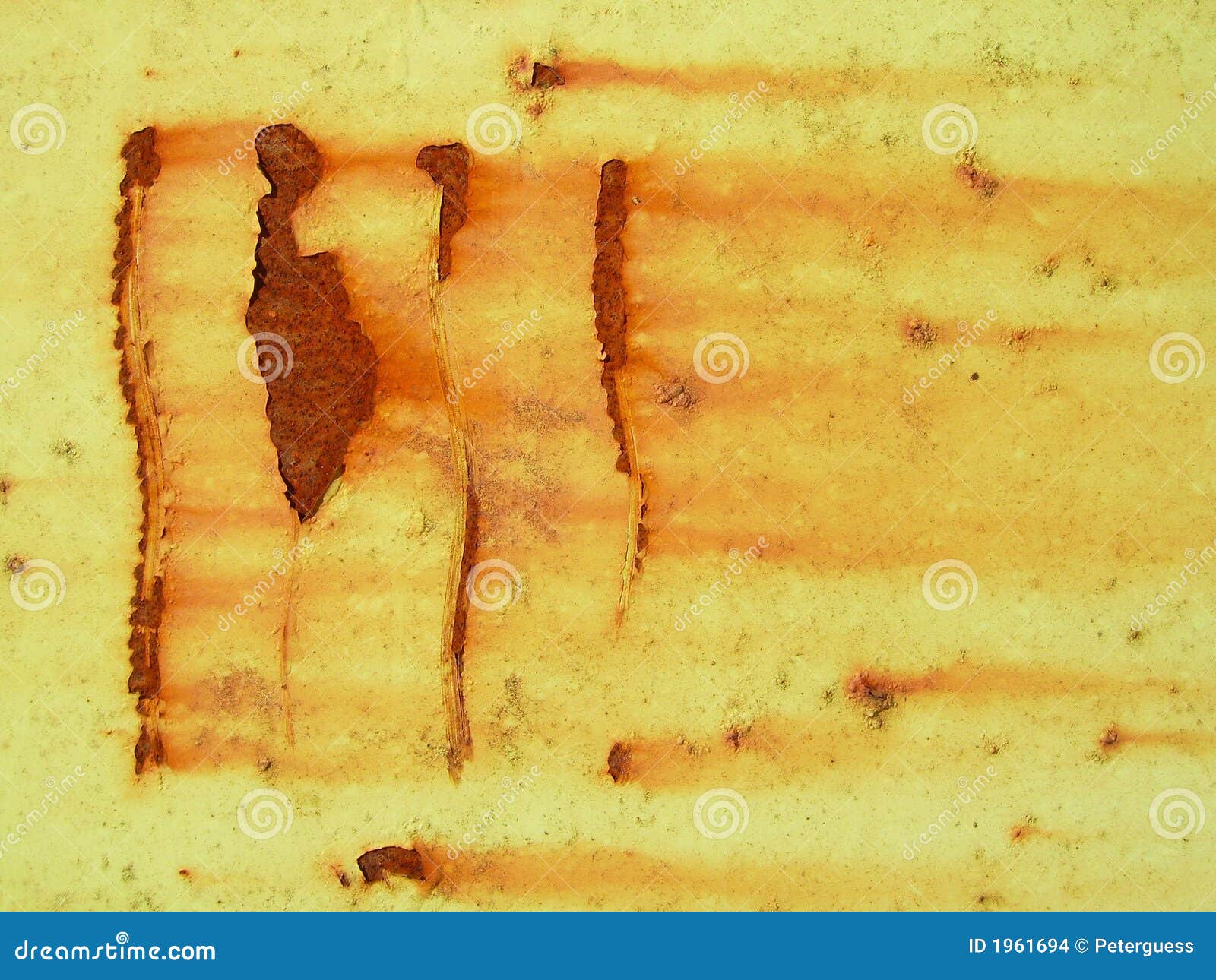 Moho foto de archivo. Imagen de resistido, modelo, extracto - 1961694