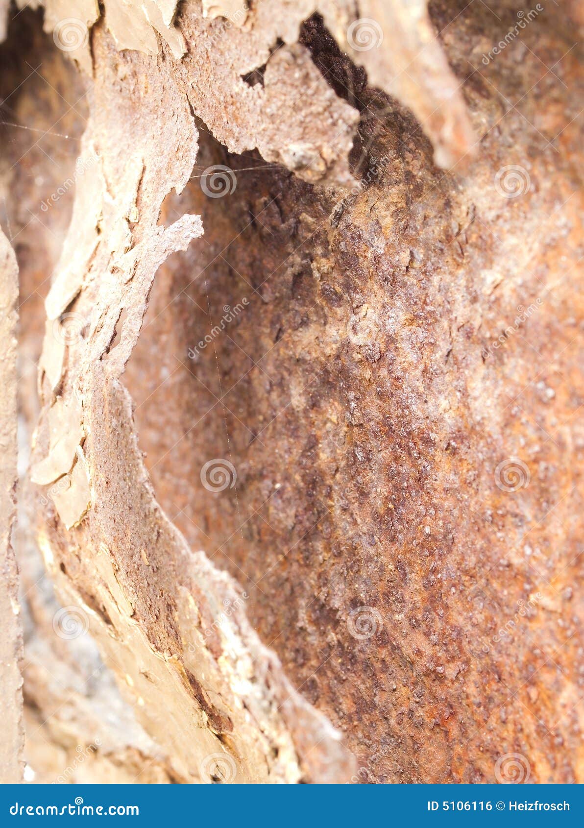 Moho foto de archivo. Imagen de hierro, viejo, macro, crujidos - 5106116