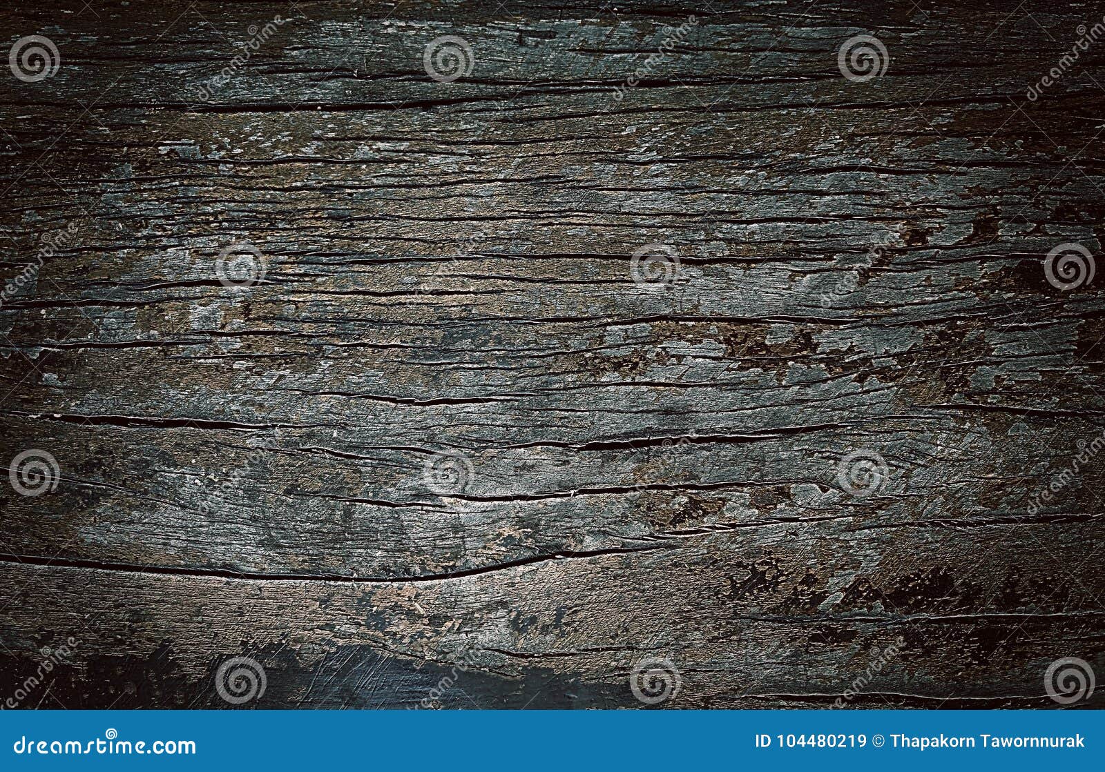 Moho de madera imagen de archivo. Imagen de tela, travieso - 104480219