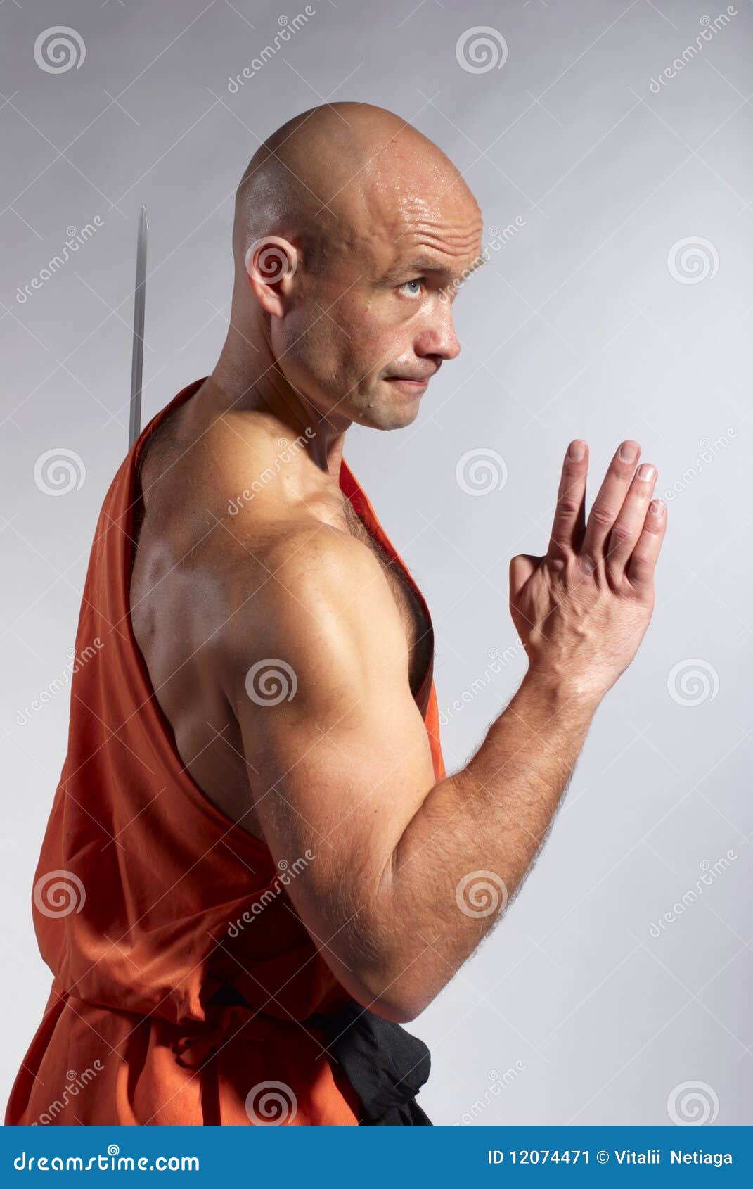 Moine De Guerrier De Shaolin Image stock - Image du combat, sain: 12074471