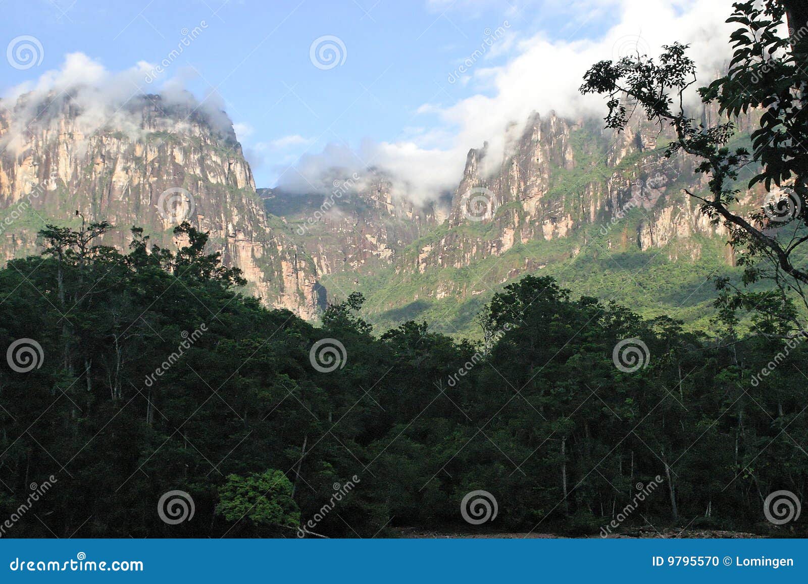 3,631 Jungle Venezuela Stock Photos - Free & Royalty-Free Stock Photos ...