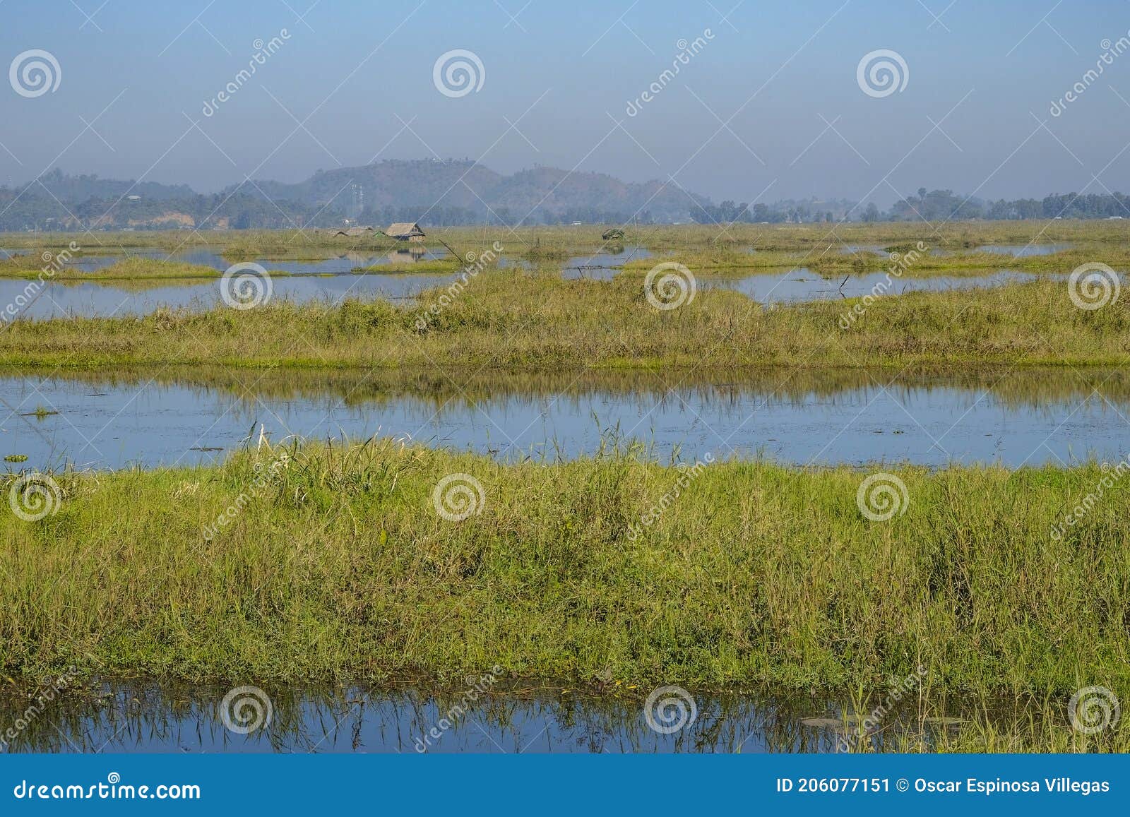 Moirang in Manipur, India stock image. Image of manipur - 206077151