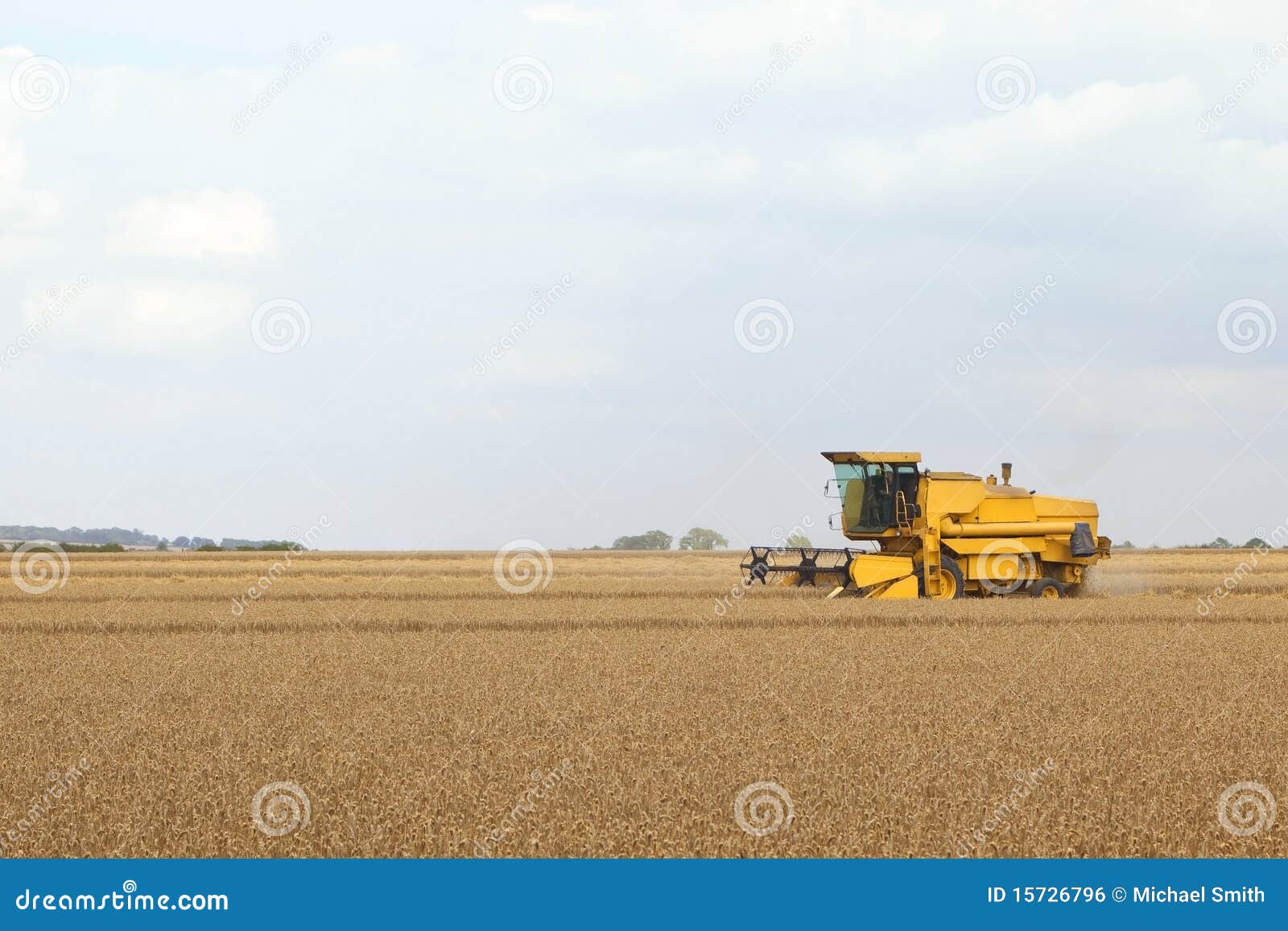 Moisson du blé photo stock. Image du agriculture, champs - 15726796
