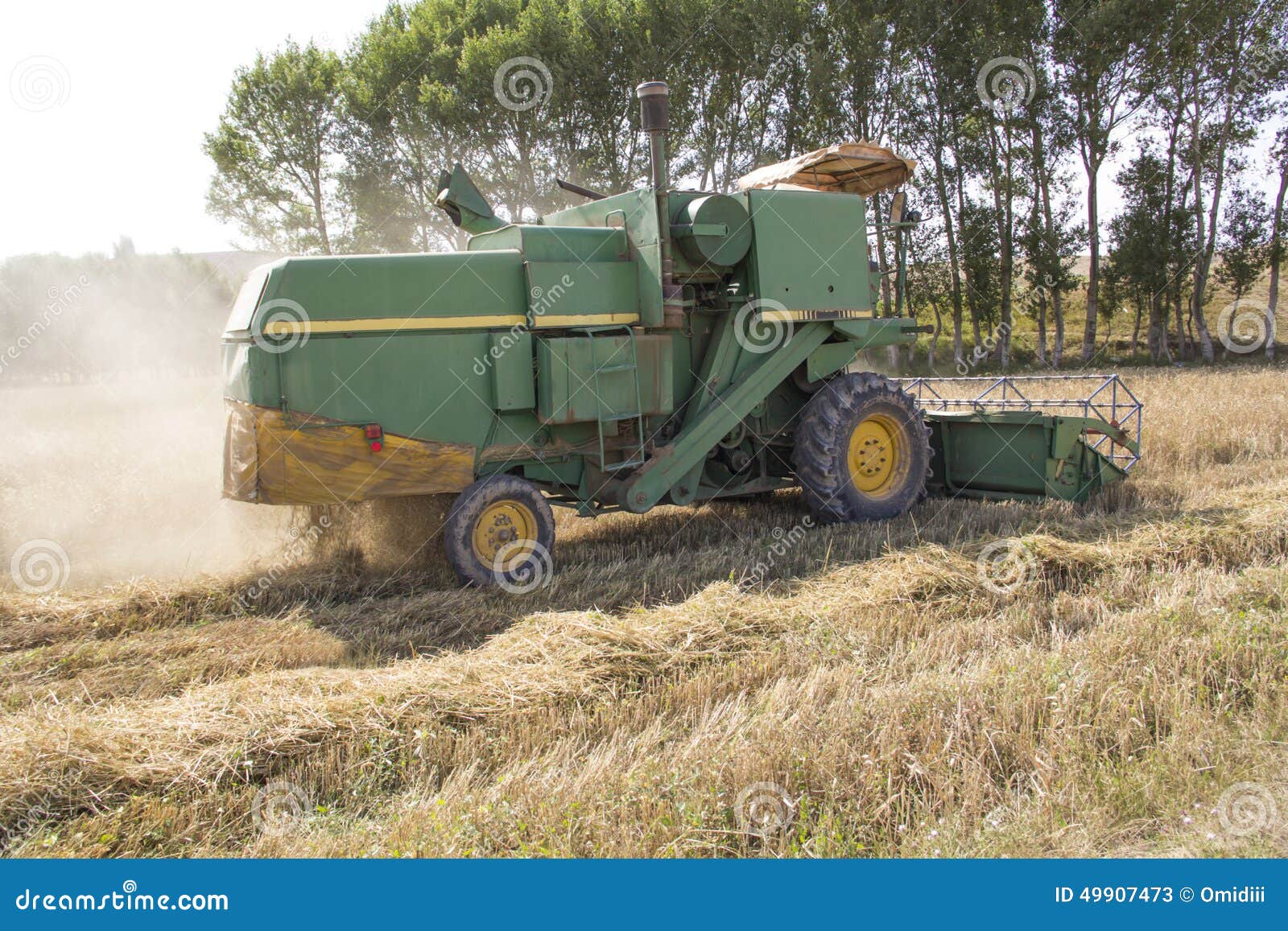 Moisson du blé photo stock éditorial. Image of collectes - 49907473