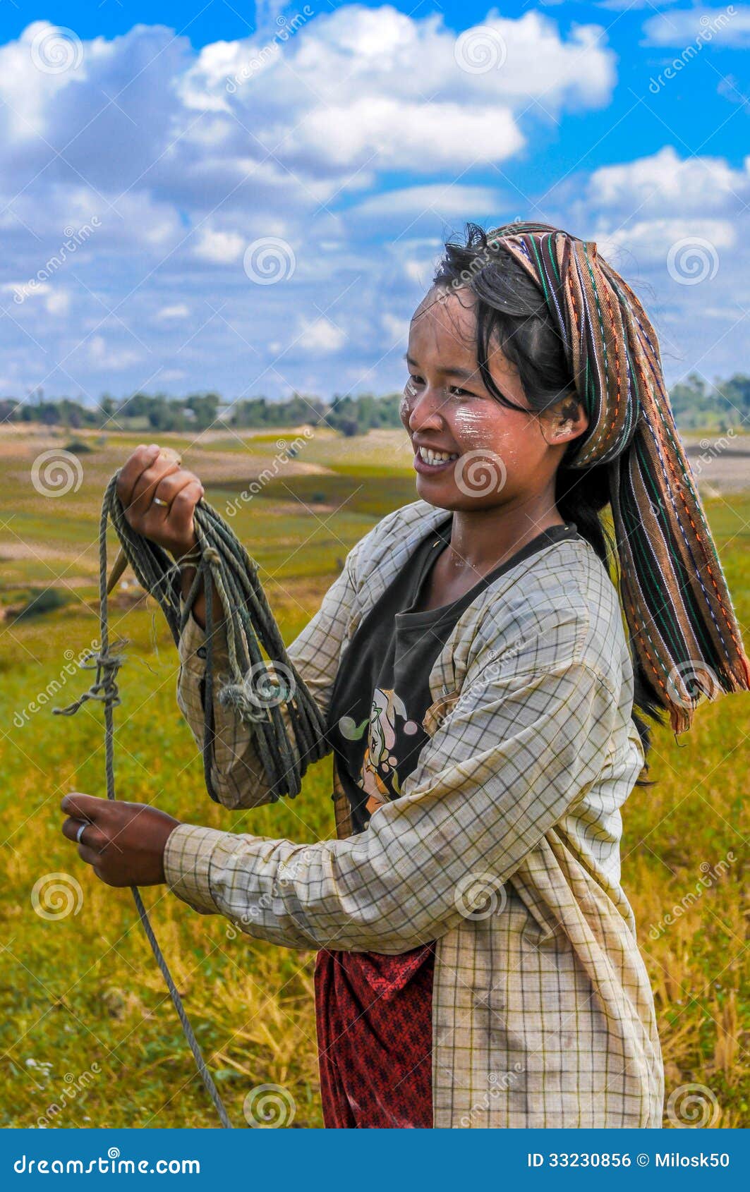 Moisson Du Riz Dans Les Domaines Photo éditorial - Image du hausse ...