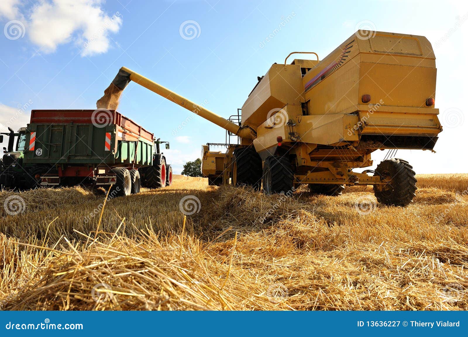 Moisson-two image stock. Image du agricole, entraîneur - 13636227