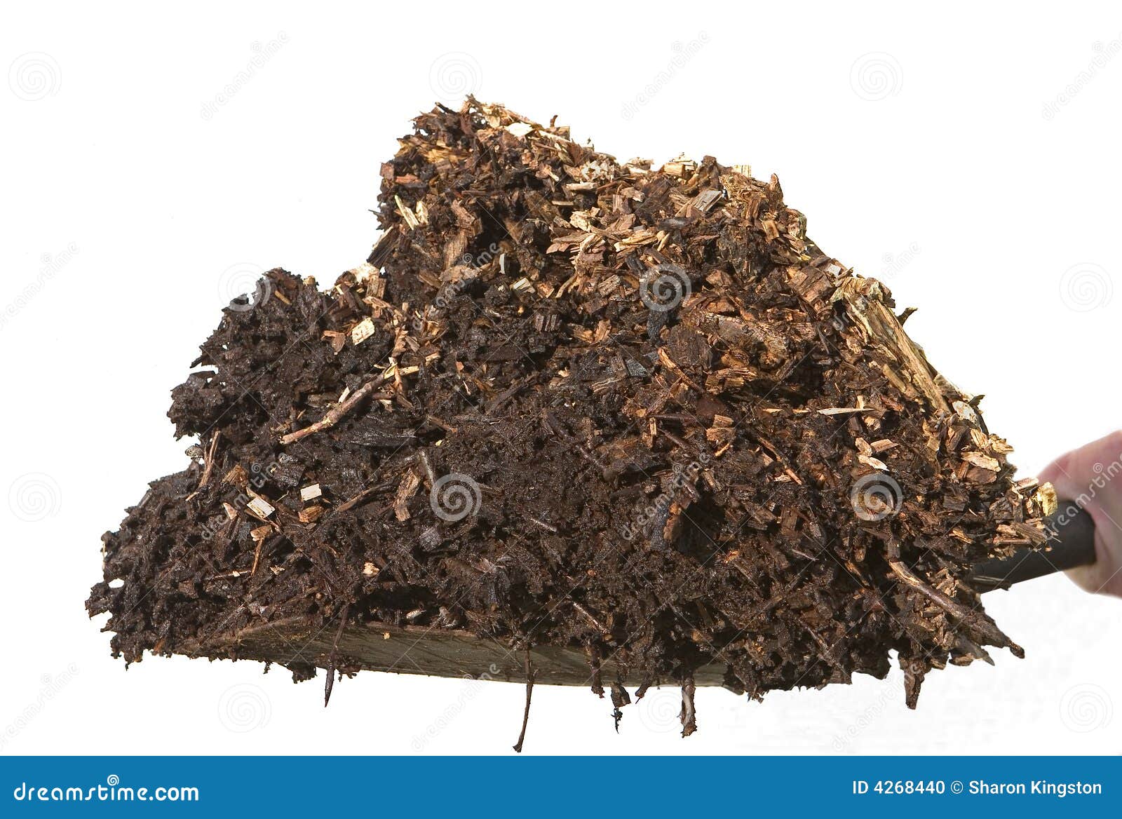 Moist woodchip mulch stock photo. Image of organic, fertiliser - 4268440