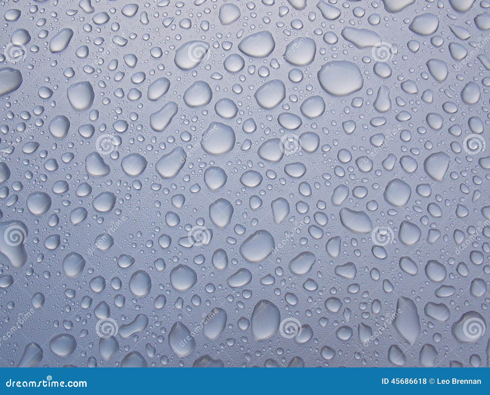 Moisture on a can stock photo. Image of misty, fridge - 45686618