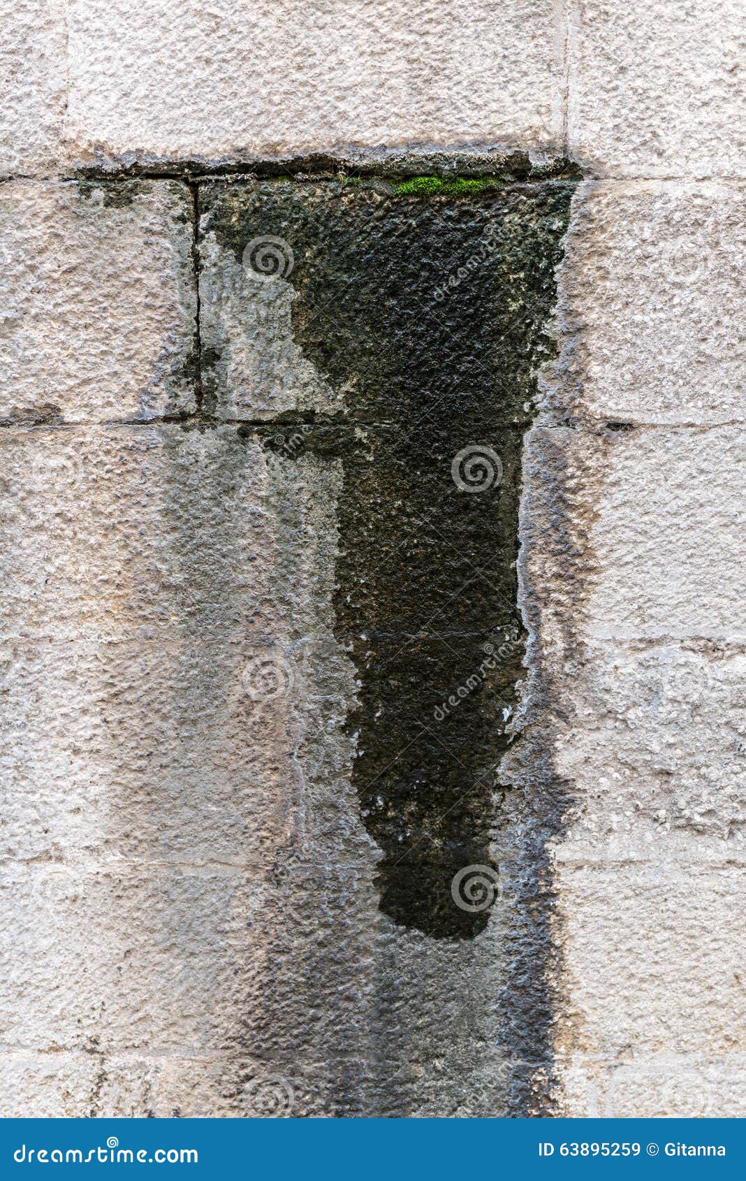 Moisture detail wall stock image. Image of bacteria, asthma - 63895259