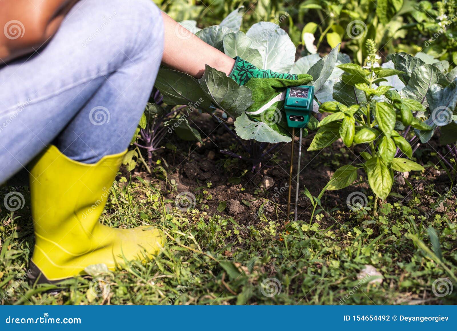 Moisture Meter Tester in Soil. Measure Soil for Humidity, Nitrogen and ... Moisture Meter Tester in Soil. Measure Soil for Humidity, Nitrogen and ...