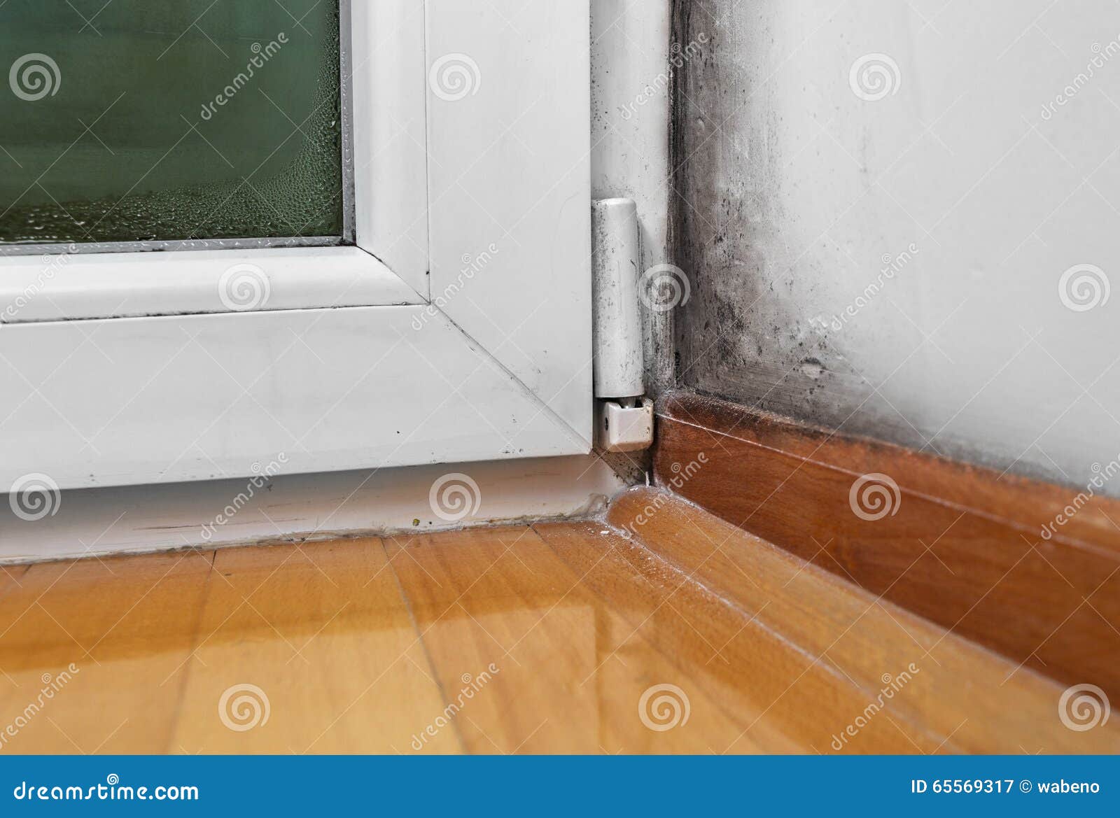 Moisture and Mold -Problems in a House Stock Image - Image of ...
