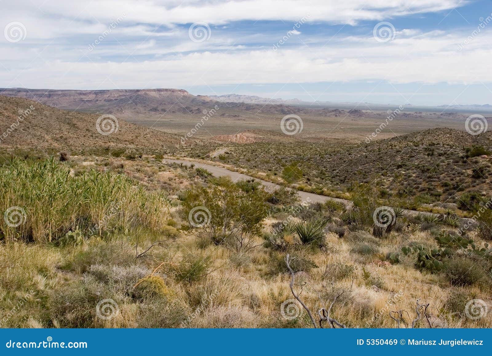 Mojave stock image. Image of pass, mojave, rock, joshua - 5350469