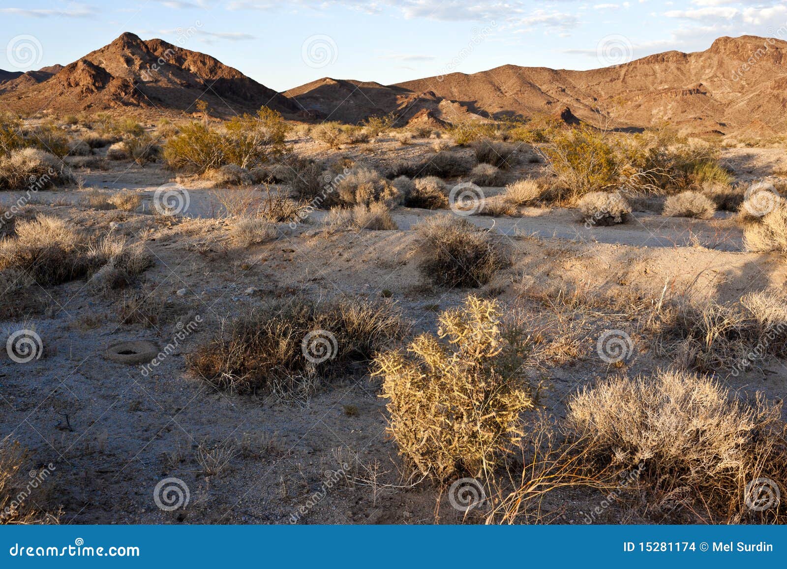 Mojave Desert stock photo. Image of nevada, arid, desolate - 15281174