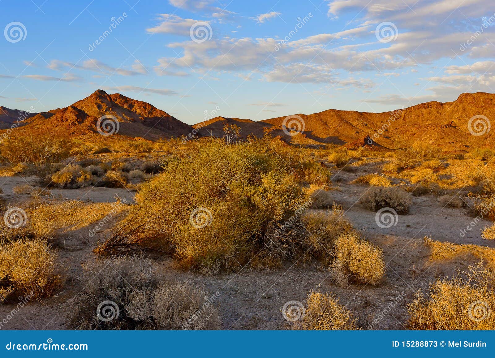 Mojave Desert Mountain Scene Stock Image - Image of brush, nevada: 15288873