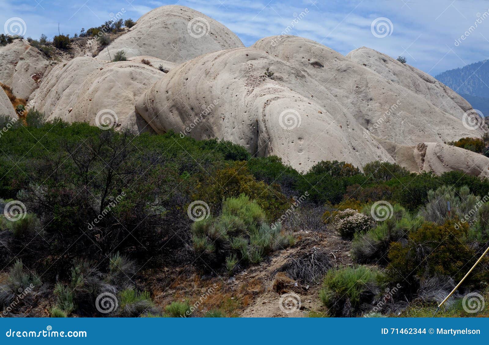 Mojave Desert - California stock photo. Image of brush - 71462344