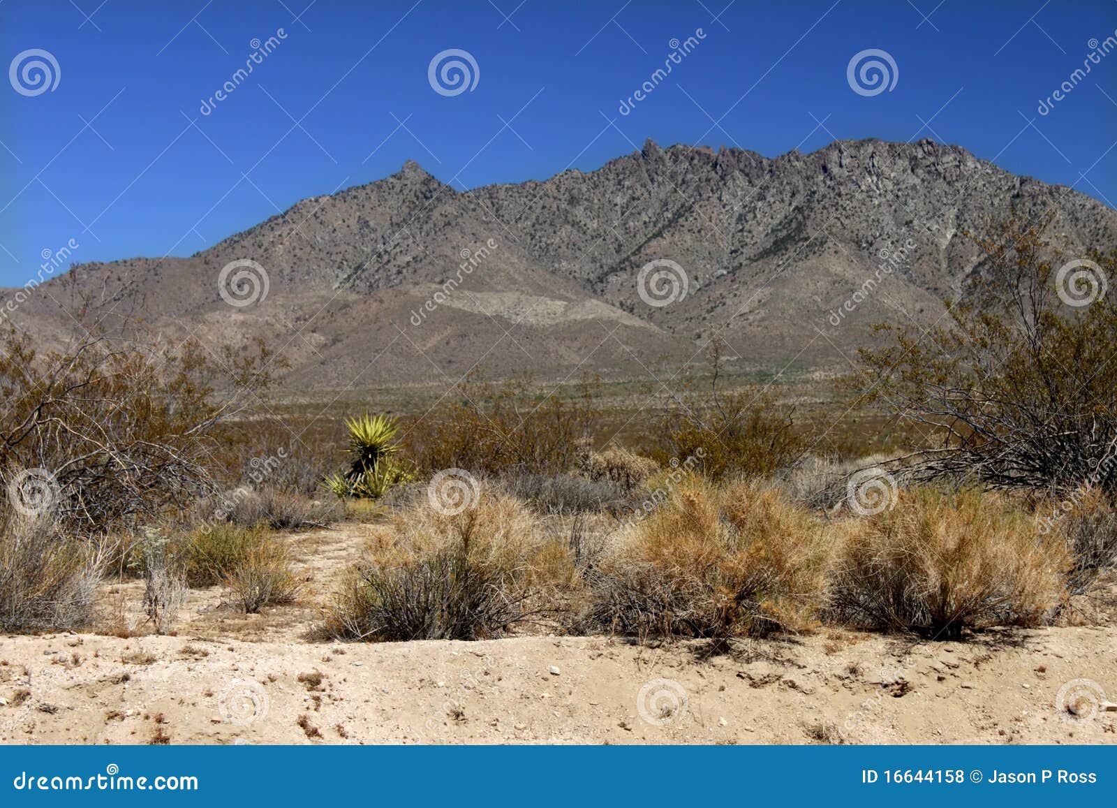 Mojave Desert - Southern California Stock Photo - Image of dryness ...