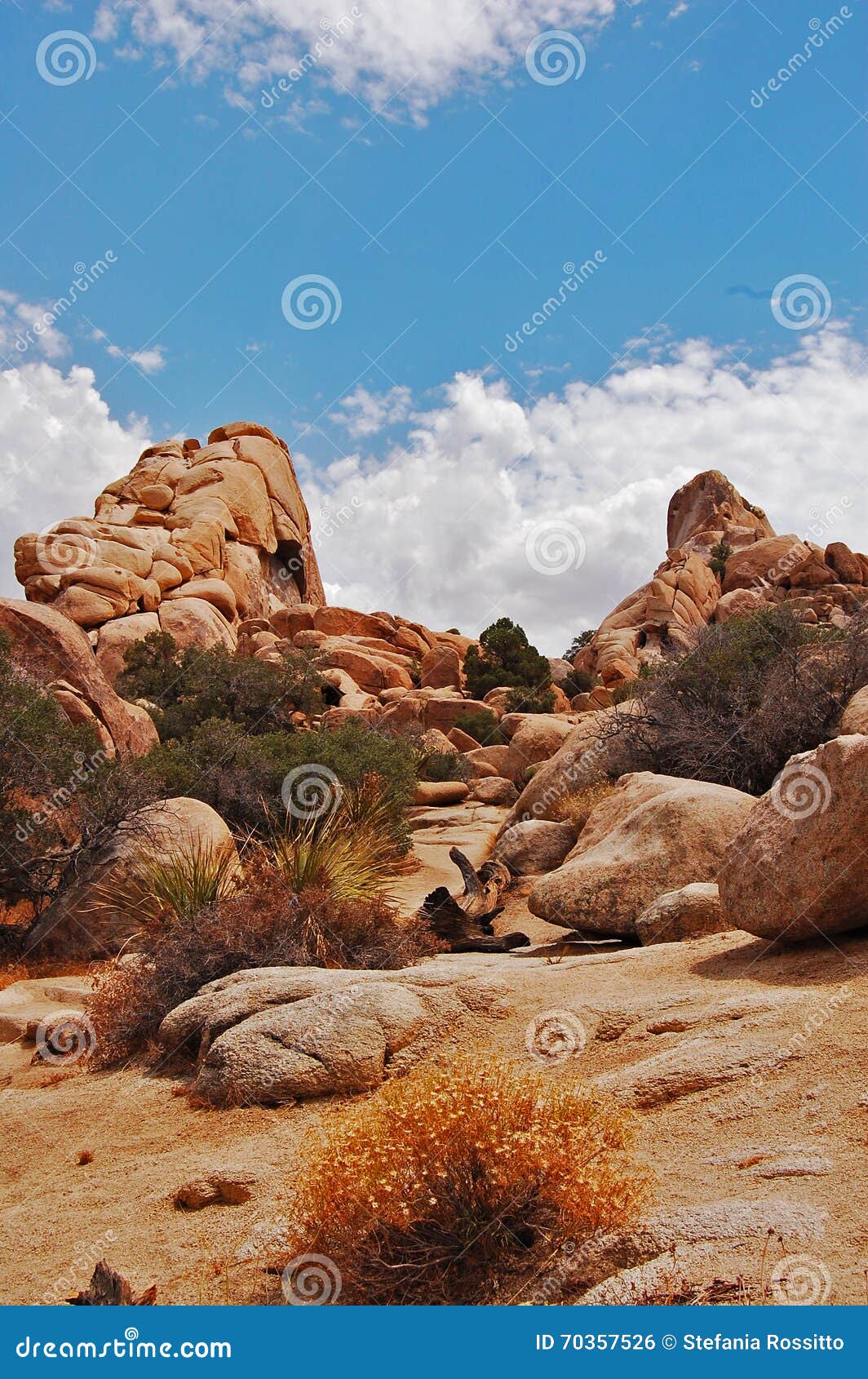 Mojave Desert stock photo. Image of nevada, natural, sand - 70357526