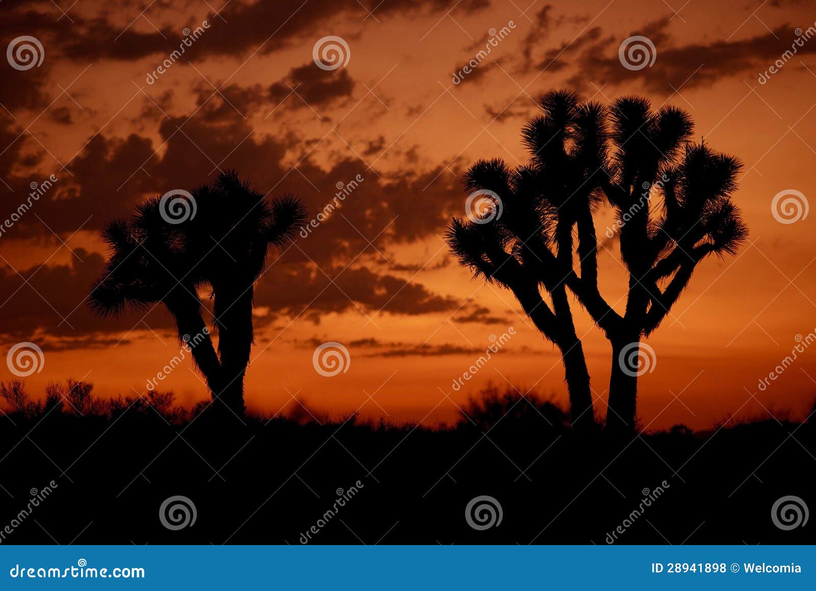 Mojave Desert Sunset stock photo. Image of mojave, american - 28941898