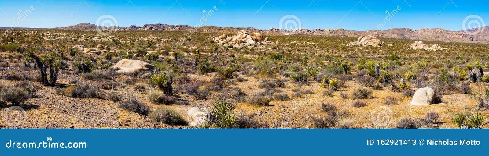 Belle Valley Panorama stock image. Image of landscape - 162921413