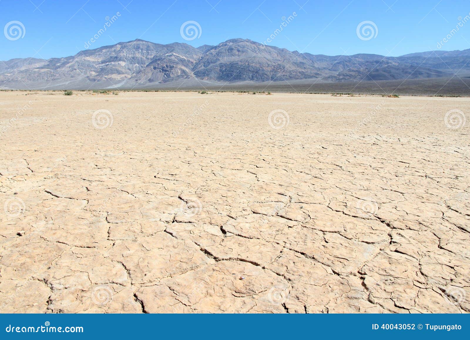 Mojavewoestijn stock foto. Image of toneel, naughty, gebarsten - 40043052