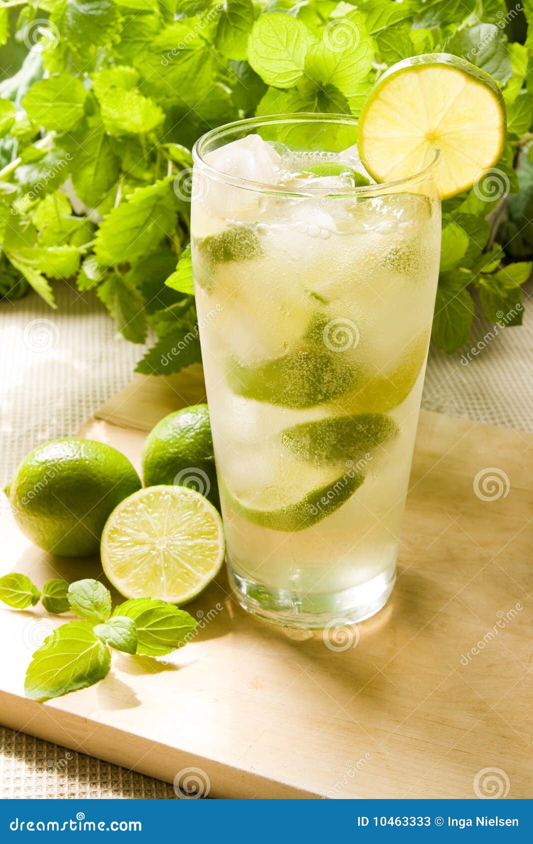 Mojito stock image. Image of juice, limes, cube, fresh - 10463333