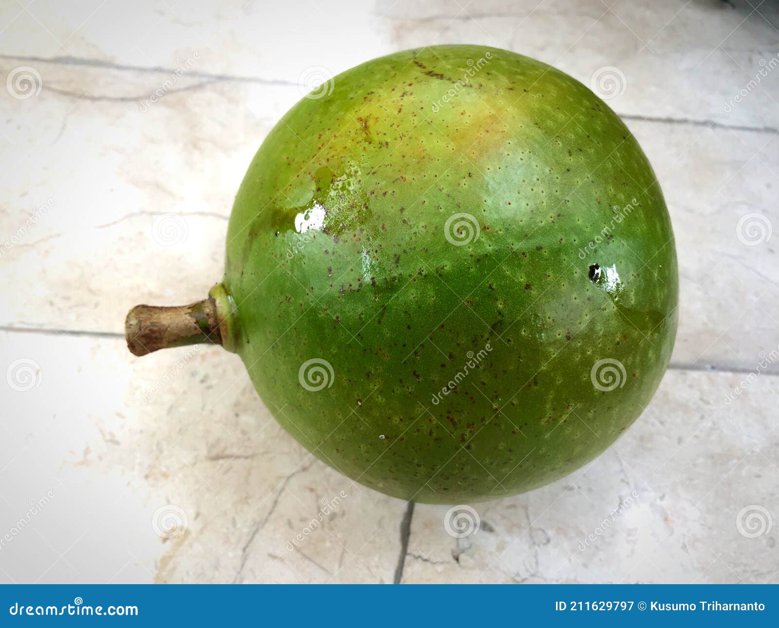 Big fresh mojo fruit stock image. Image of vegetable - 211629797