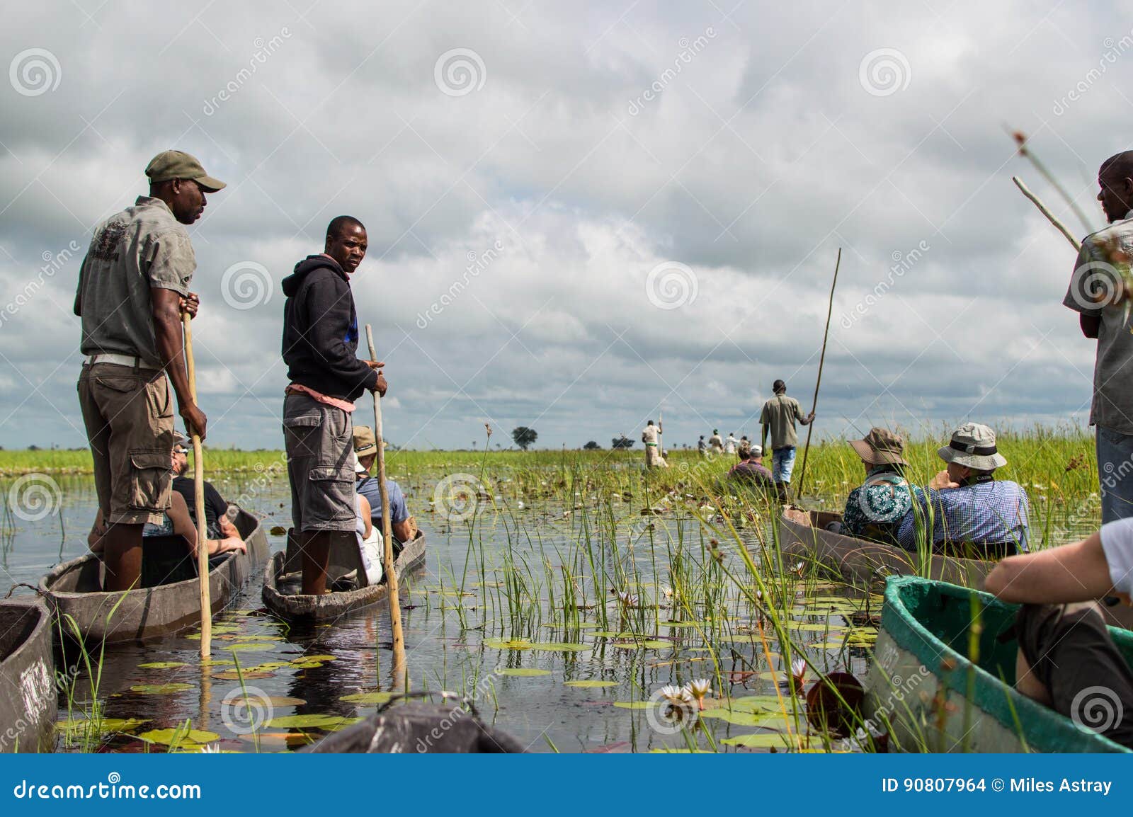 Mokoro Canoe Trip in the Okavango Delta Near Maun, Botswana Editorial ...