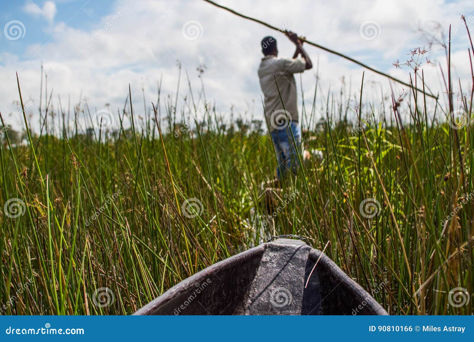Mokoro Canoe Trip in the Okavango Delta Near Maun, Botswana Editorial ...