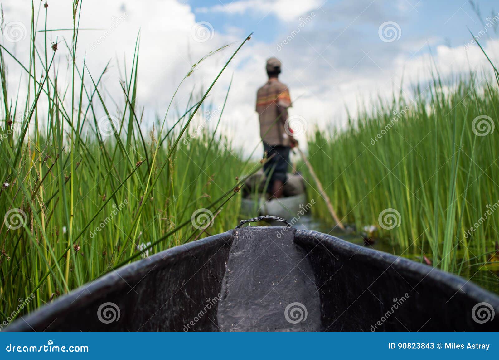 Mokoro Canoe Trip in the Okavango Delta Near Maun, Botswana Editorial ...