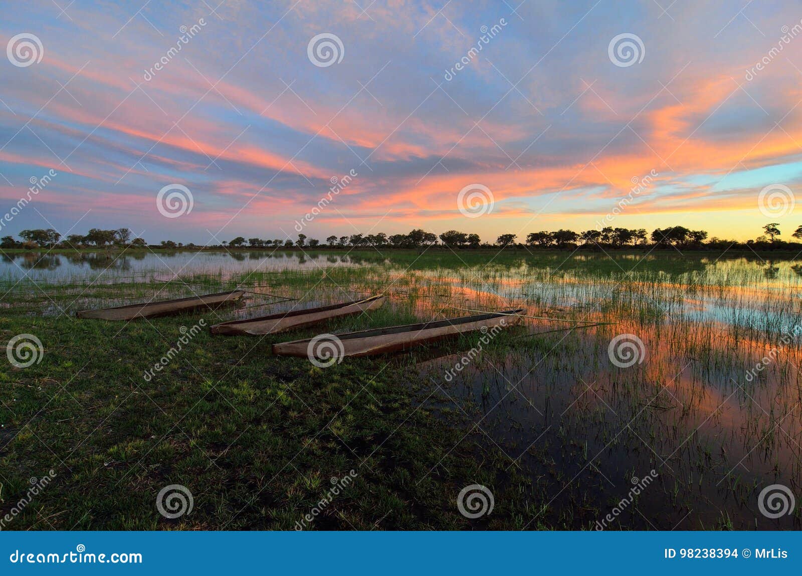 Okavango Delta Stock Image | CartoonDealer.com #66946393