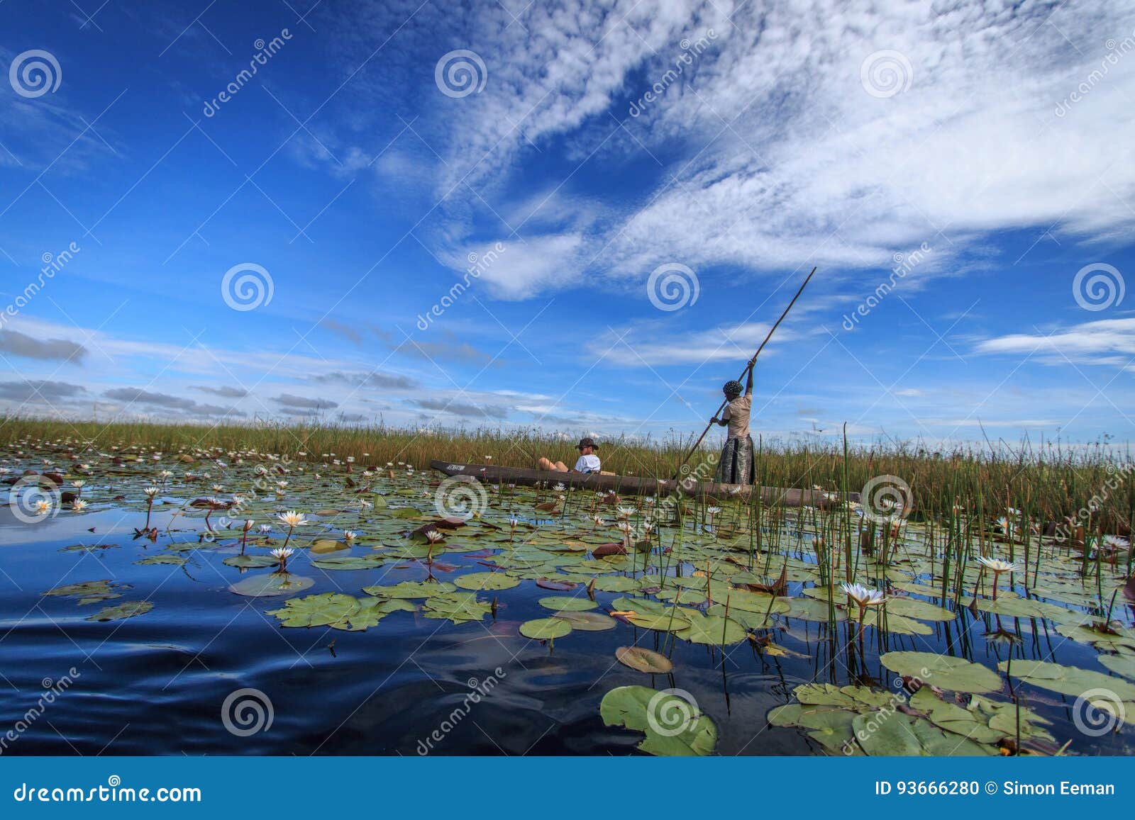 Mokoro Trip in the Okavango Delta. Editorial Image - Image of ...