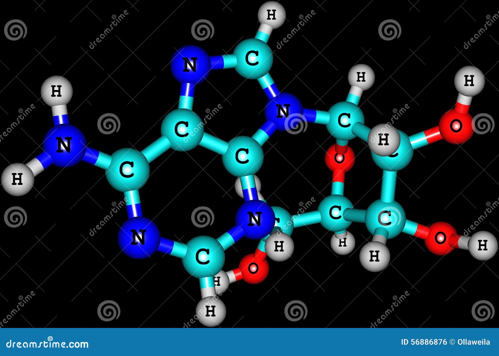 Molécula De La Adenosina Aislada En Negro Stock de ilustración ...