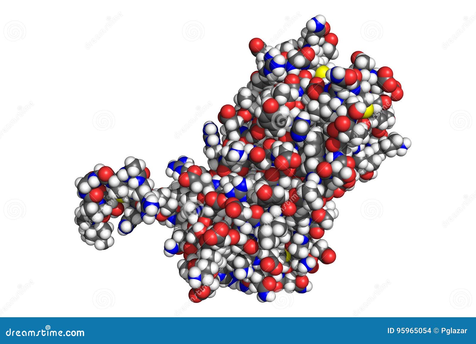 Molécula de la prolactina stock de ilustración. Ilustración de ...