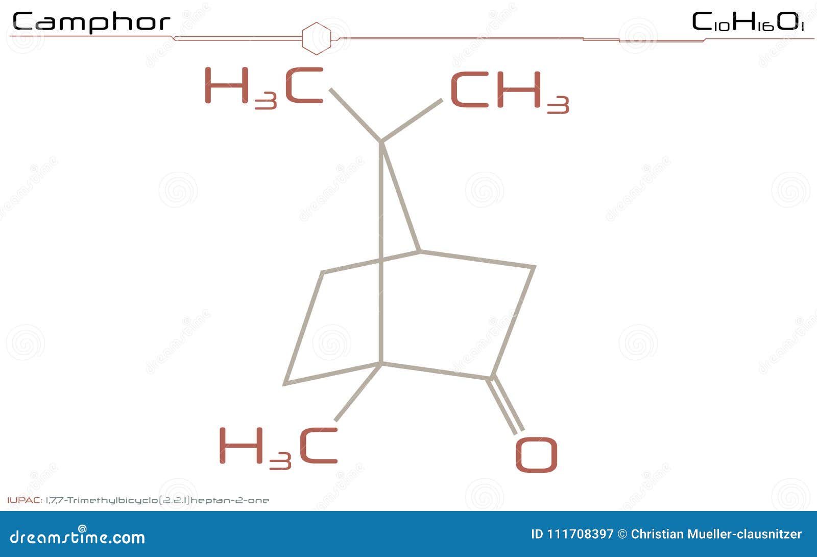 Molécula del alcanfor ilustración del vector. Ilustración de vector ...