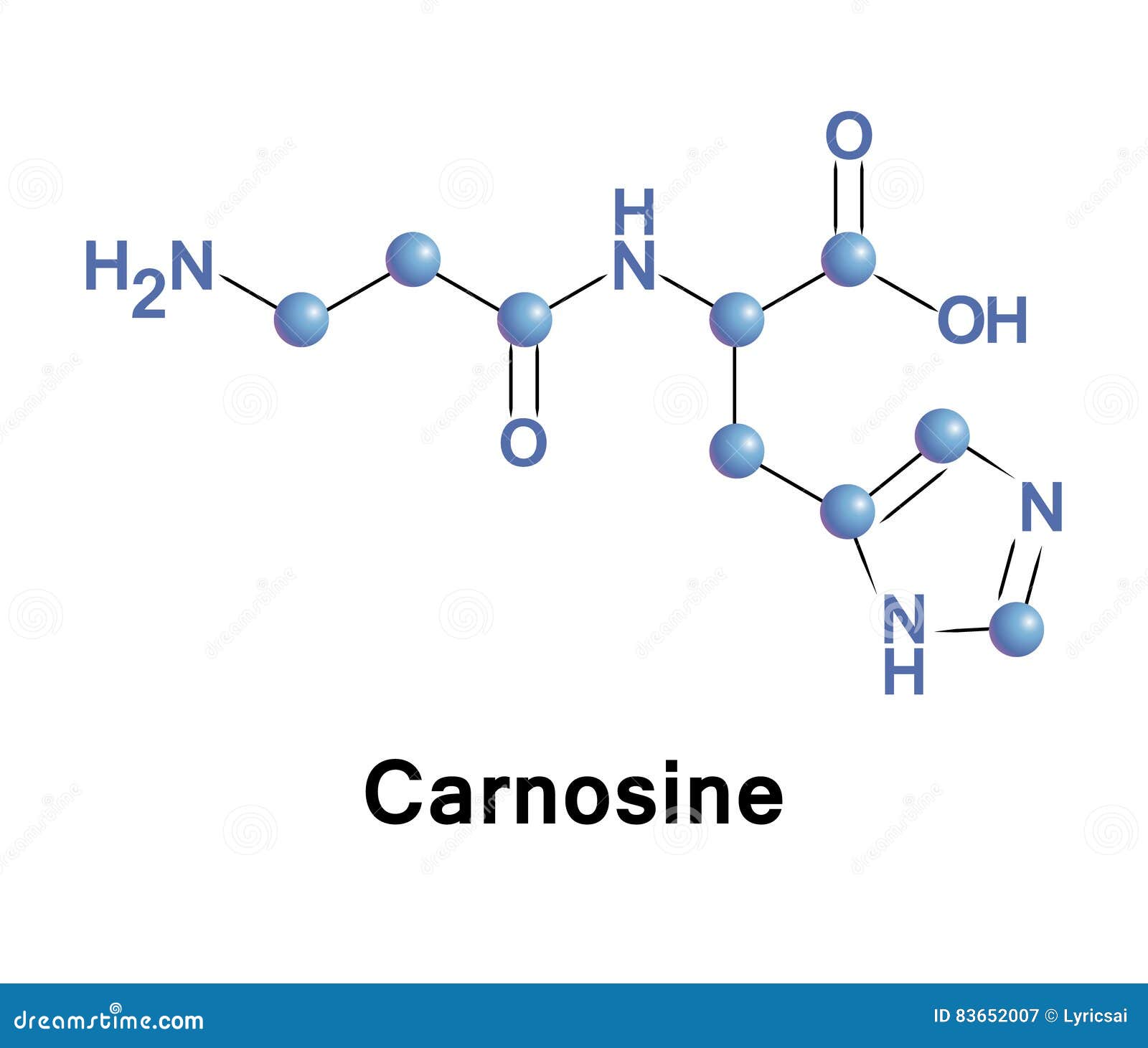 Molécula Del Dipéptido De Carnosine Ilustración del Vector ...