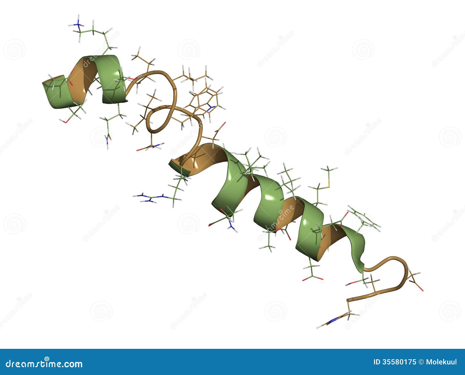Peptide Stock Illustrations, Vecteurs, & Clipart – (4,468 Stock ...