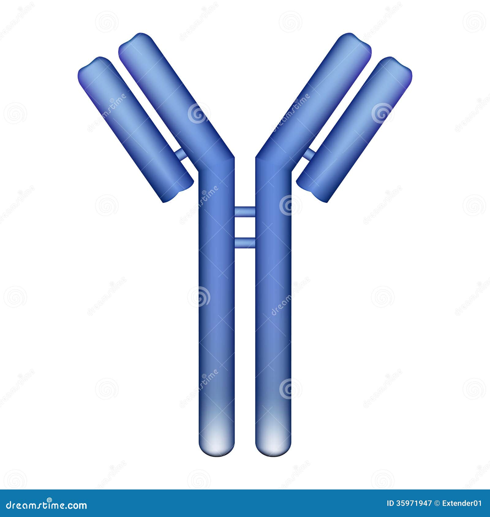Molécule d'anticorps illustration de vecteur. Illustration du bleu ...