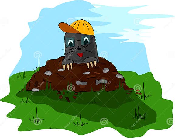 Mol Met Een GLB Op Molshoop Vector Illustratie - Illustration of buidel ...