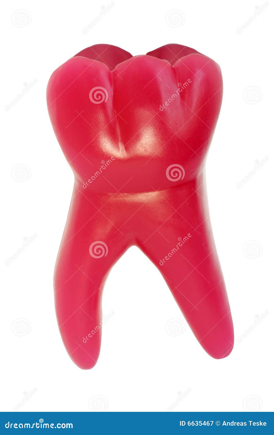 Molar Picture. Image: 6635467