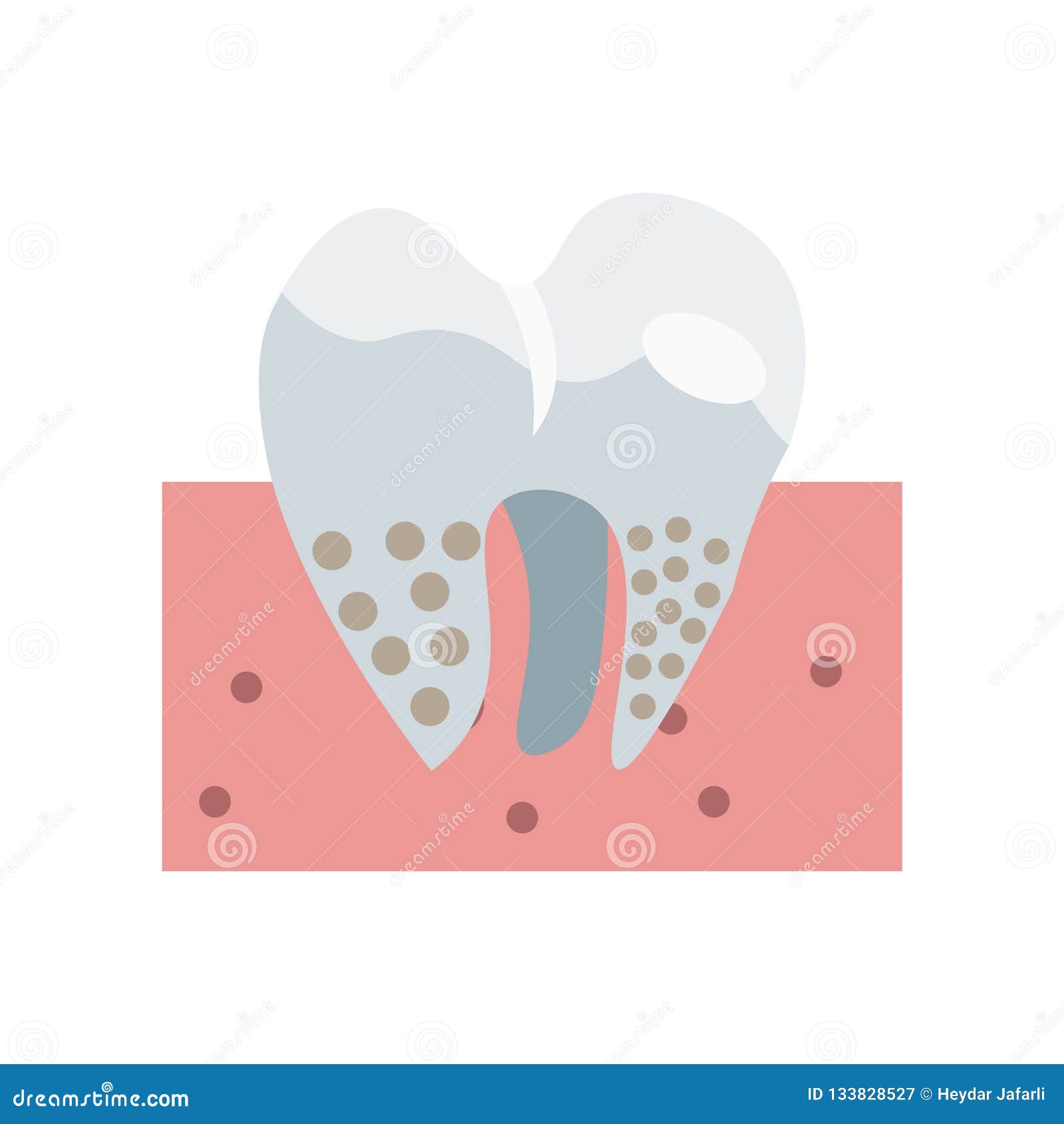 Molar Icon Vector Sign and Symbol Isolated on White Background Stock ...