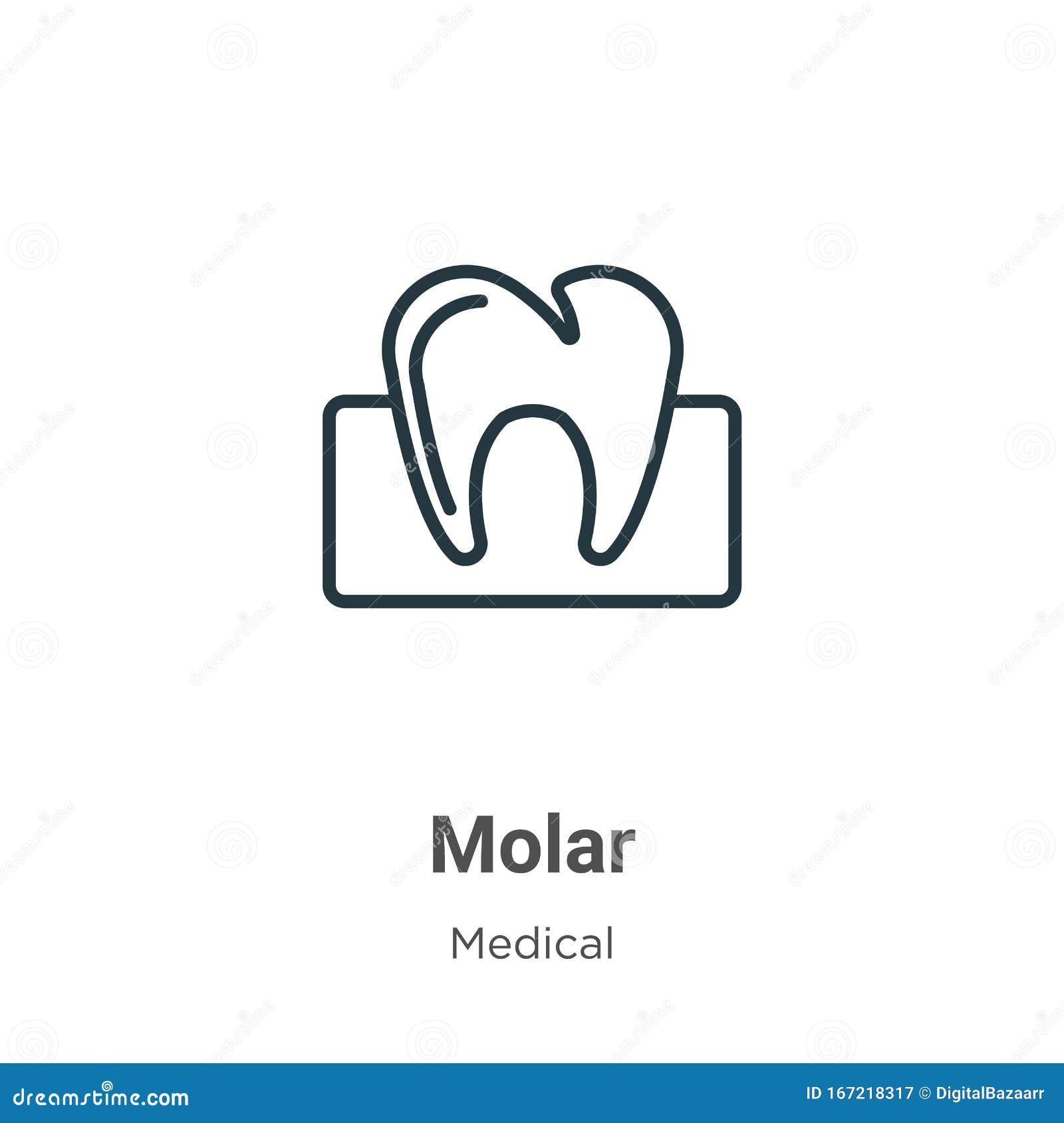 Molar Outline Vector Icon. Thin Line Black Molar Icon, Flat Vector ...