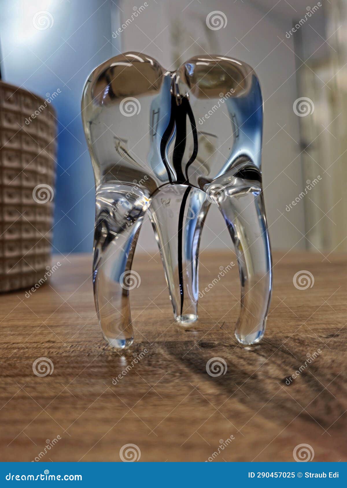 Molar solid glass model stock image. Image of model - 290457025